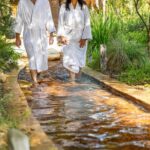 Mornington Peninsula Small Group Hot Springs, Lunch & Winery Tour - What Makes This Tour Stand Out?
