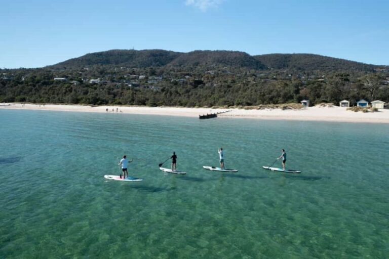 Mornington Peninsula: SUP, Hike, & Hot Springs Trip w/ Lunch - Practical Details and What It Means for You
