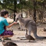 Mornington Peninsula Tour: wildlife, wine, art & hot springs - Coastal Beauty & Scenic Highlights