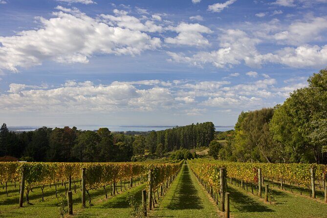 Mornington Peninsula Wine Day Tour - Final Thoughts: Is It Worth It?