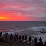 Mornington Peninsula Winery Tours - What Travelers Say: Authentic Experiences and Friendly Guides