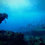 Morros de Potosi: Dive into the Mysteries of the Night - What to Expect from Your Nighttime Snorkeling Adventure