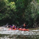 Mossman Gorge: Day Tour with River Drift Experience - The Rhythm of the Day: A Breakdown