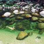 MOSSMAN GORGE TRANSFER between Port Douglas and Mossman Gorge (return) - Who Is This Transfer Best For?