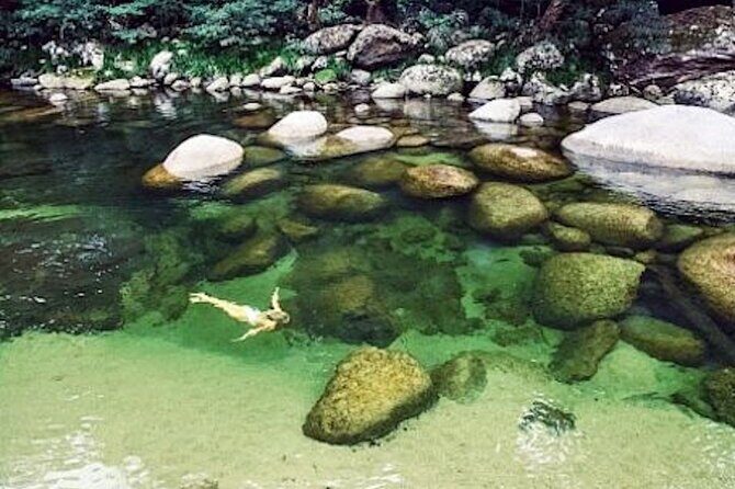 MOSSMAN GORGE TRANSFER between Port Douglas and Mossman Gorge (return) - Who Is This Transfer Best For?