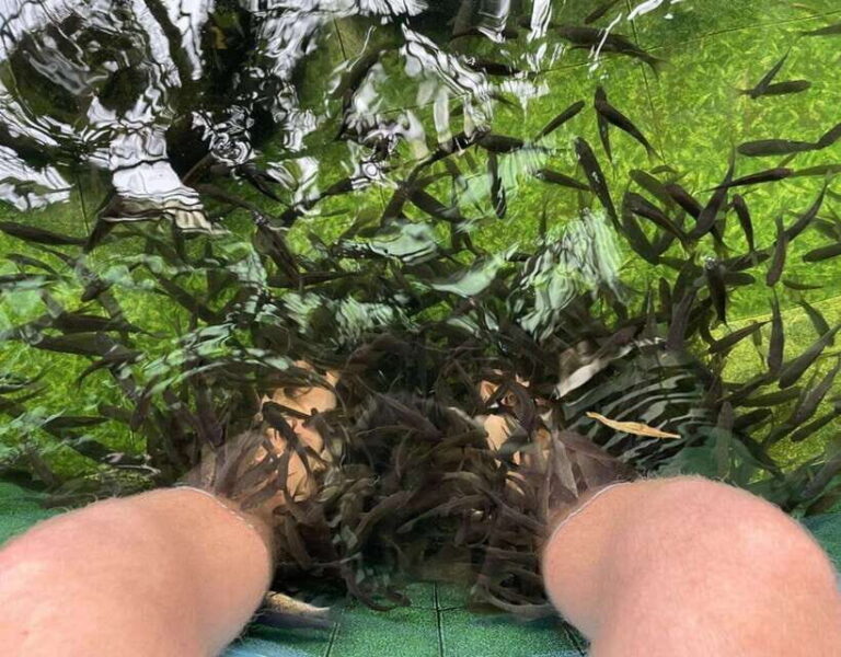 Most Luxurious Day Trip to Lan Ha Bay with Lunch from Hanoi - Transportation & Comfort