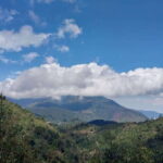 Motorbike Tour: Waterfall, Lonely Tree, and Green Tea Hill - The Iconic Lonely Tree and Cultural Elements