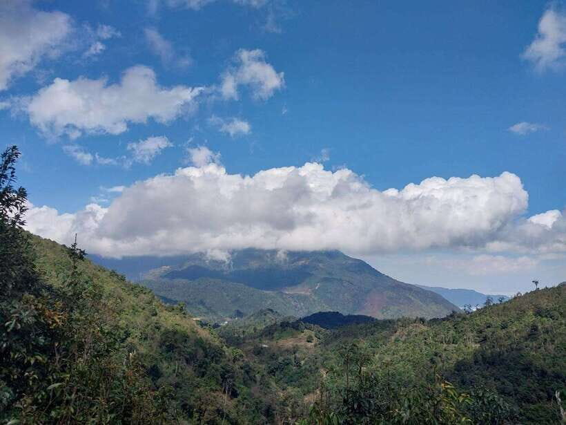 Motorbike Tour: Waterfall, Lonely Tree, and Green Tea Hill - The Iconic Lonely Tree and Cultural Elements