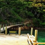 Motuara Island Bird Sanctuary and Ship Cove Cruise from Picton - The Sum Up