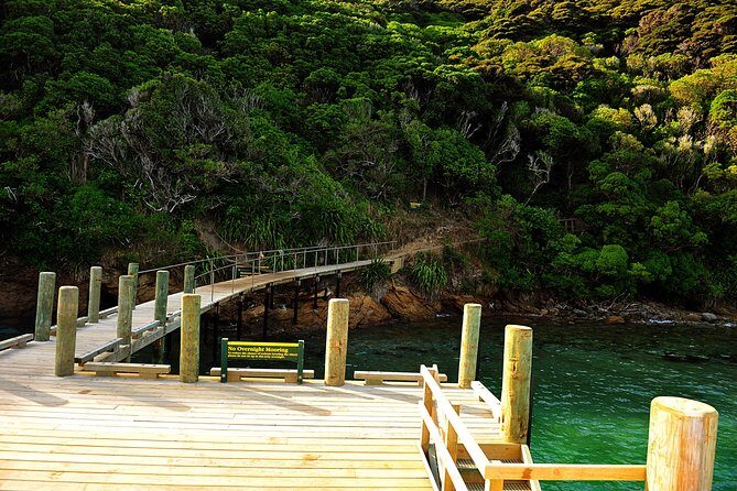 Motuara Island Bird Sanctuary and Ship Cove Cruise from Picton - The Sum Up