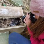 Motuara Island Sanctuary: Wildlife & Dolphin Watching Tour - An In-Depth Look at the Tour