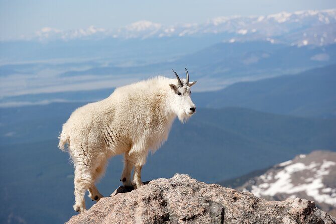 Mount Blue Sky Alpine Summit & Red Rocks Tour from Denver - Why This Tour Excels: Experience and Value