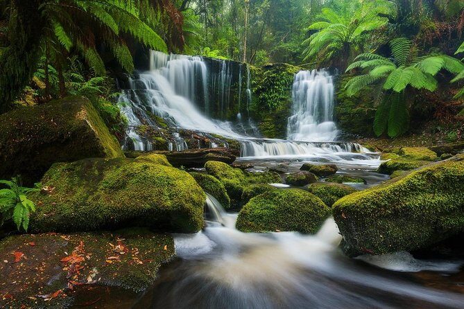 Mount Field Day Tour Private Charter Service - Wildlife Encounters at Bonorong Sanctuary