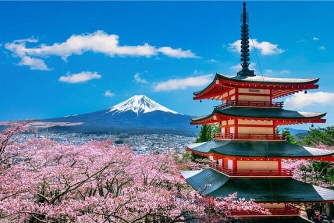 Mount Fuji and Hakone Private Tour with Pickup from Tokyo - What Travelers Say About the Experience
