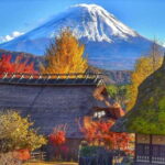Mount Fuji Day Tour:Scenic Lakes,Village, Pagoda,Oshino Hakkai - Who Is This Tour Best For?