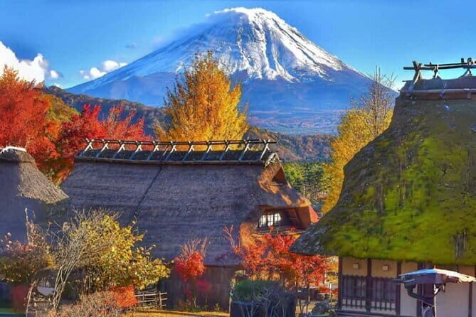 Mount Fuji Day Tour:Scenic Lakes,Village, Pagoda,Oshino Hakkai - Who Is This Tour Best For?