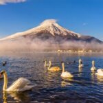 Mount Fuji: Exclusive Private Car Tour - Detailed Breakdown of the Itinerary