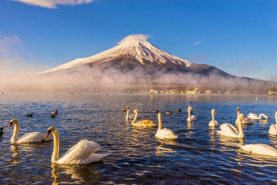 Mount Fuji: Exclusive Private Car Tour - Detailed Breakdown of the Itinerary