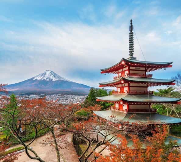 Mount Fuji Full-Day Private Customizable Tour From Tokyo - Transportation, Group Size, and Cost