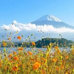 Mount Fuji Full Day Private Customizable Tour With English Guide - Transportation and Group Size