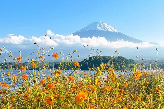 Mount Fuji Full Day Private Customizable Tour With English Guide - Transportation and Group Size