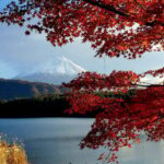Mount Fuji Full-Day Private Tour from Tokyo (Customizable) - Who Should Consider This Tour?