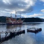 Mount Fuji - Hakone & Onsen Full Day Private Tour - What Travelers Say: Insights from Actual Reviews