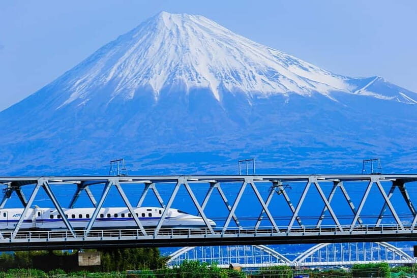 Mount Fuji & Hakone Private Tour with Bullet Train Return - Insights from Travelers and What It Means for You