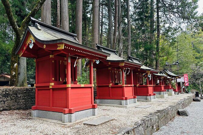 Mount Fuji One Day Private Customizable Tour With English Driver - Logistics and Practicalities