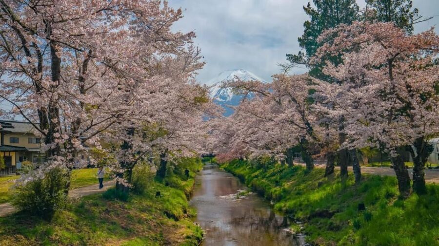 Mount Fuji Private Tour With English Speaking Driver/Guide - Itinerary Breakdown: What to Expect