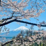 Mount Fuji VIP & Luxury Customise One Day Tour. - What to Expect and What Not to Miss