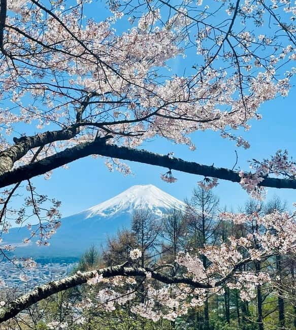 Mount Fuji VIP & Luxury Customise One Day Tour. - What to Expect and What Not to Miss