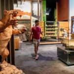 Mount Isa: Riversleigh Fossil Discovery Centre Guided Tour - Who Will Enjoy This Tour?