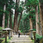 Mount Koya from Osaka: Cultural Small Group Day Tour - Practicalities and Logistics