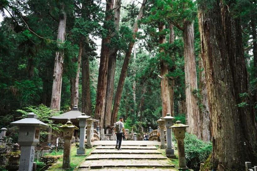 Mount Koya from Osaka: Cultural Small Group Day Tour - Practicalities and Logistics