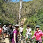 Mount Lofty Descent Bike Tour from Adelaide - What the Tour Includes and Its Value
