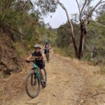 Mount Lofty Downhill Bike Tour & Cleland Wildlife Park Visit - Ride Details, Value, and Practical Considerations