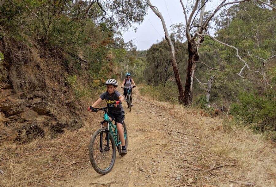 Mount Lofty Downhill Bike Tour & Cleland Wildlife Park Visit - Ride Details, Value, and Practical Considerations
