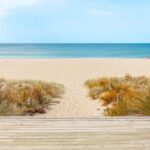 Mount Maunganui Beach Escape: Scenic Day Trip from Auckland - The Itinerary in Detail: What to Expect