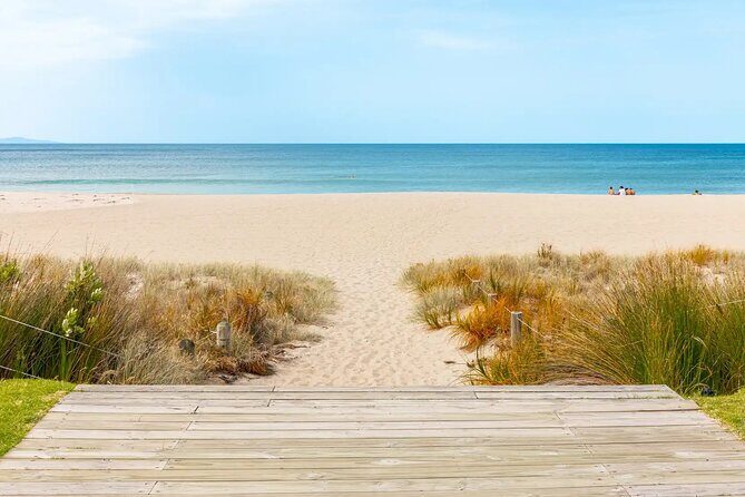 Mount Maunganui Beach Escape: Scenic Day Trip from Auckland - The Itinerary in Detail: What to Expect