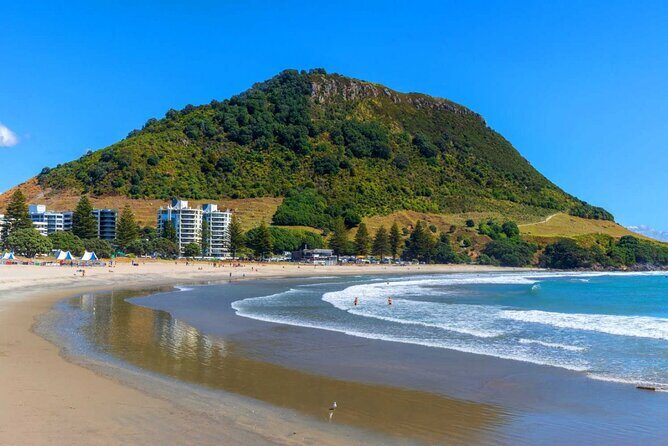 Mount Maunganui, Tauranga Day Tour from Auckland - A Deep Dive into the Experience