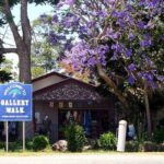 Mount Tamborine Hop on Hop off Bus from Brisbane - Key Points