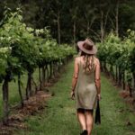 Mount Tamborine Winery Tour with Gourmet lunch - The Practicalities: Comfort, Timing, and Group Size