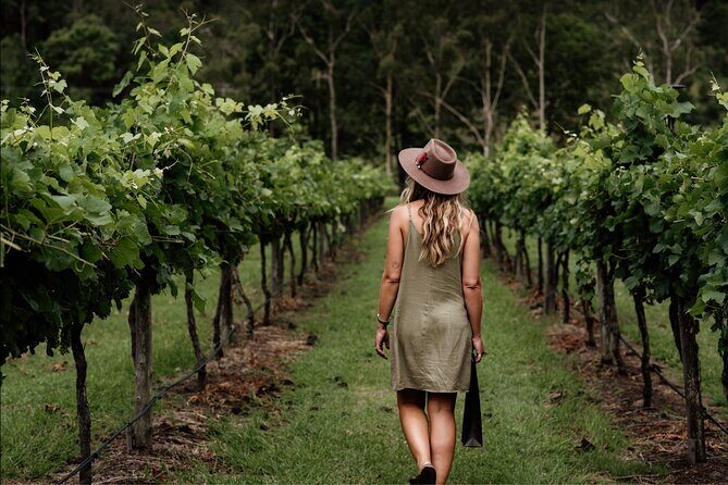 Mount Tamborine Winery Tour with Gourmet lunch - The Practicalities: Comfort, Timing, and Group Size