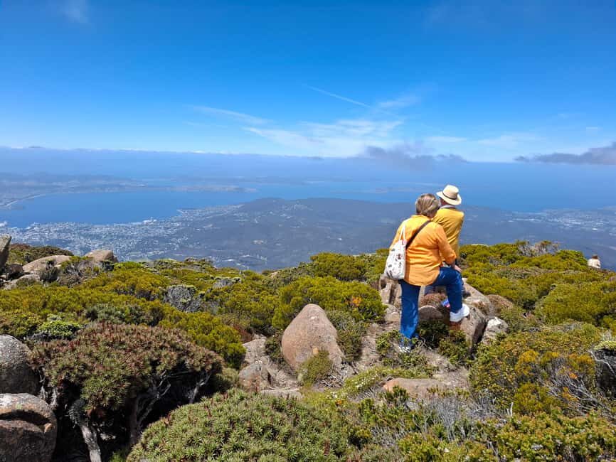 Mount Wellington Shore Excursion - The Itinerary in Detail: What to Expect