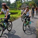 Mountain Cycling Tour - Authentic Reviews: Voices from the Travelers