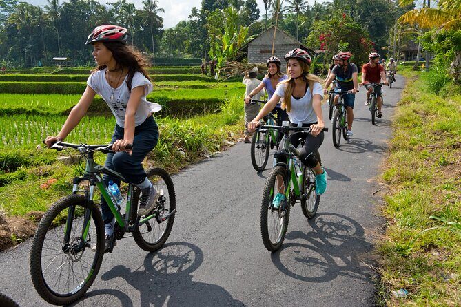 Mountain Cycling Tour - Authentic Reviews: Voices from the Travelers