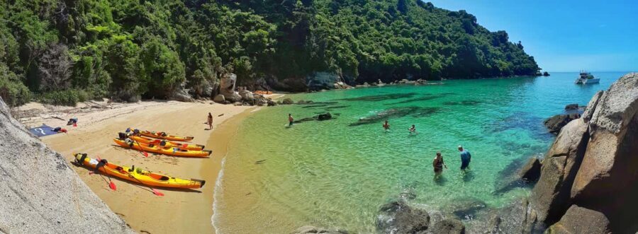 Mrahau: Abel Tasman Marine Reserve Kayak Tour - Authentic Experiences: Insights from Travelers