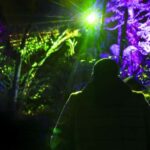 Mrama: Geyser Light Trail - Setting the Scene: An Evening in Te Puia’s Geothermal Valley