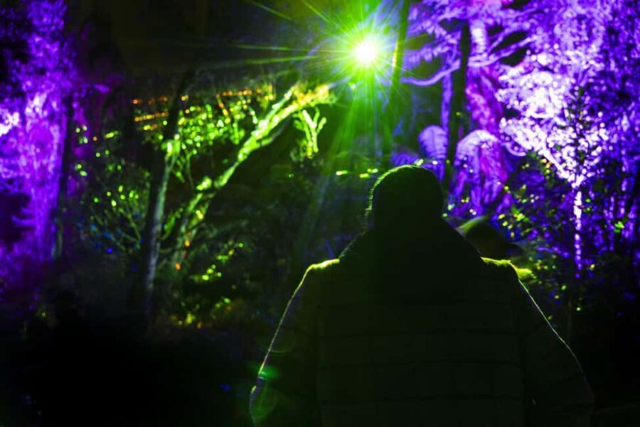 Mrama: Geyser Light Trail - Setting the Scene: An Evening in Te Puia’s Geothermal Valley